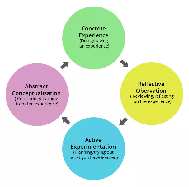 Uso de los estilos de aprendizaje de Kolb para crear cursos de eLearning personalizados y atractivos - Industria de eLearning 18257_2