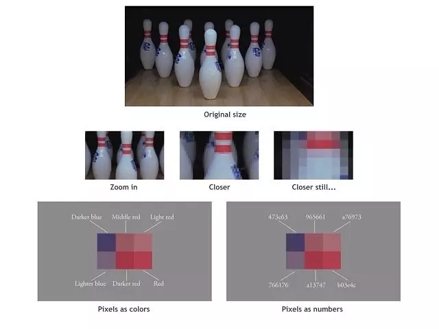 Digital Video 101: Zrozumienie, jak działa cyfrowe wideo — branża e-learningowa 30326_2